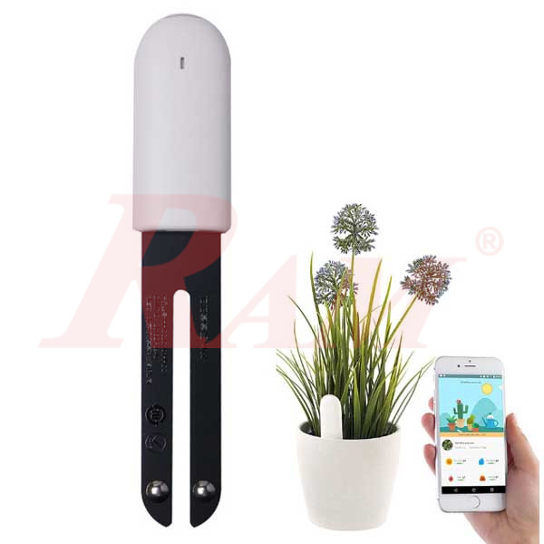 Flower Care Smart Monitor - SOIL Smart Sensor | RAM Electronics website